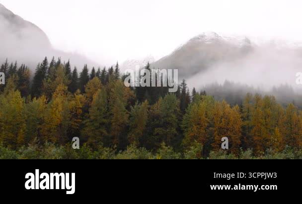 Scenic landscape in autumn time in Alaska countryside caught in dense ...