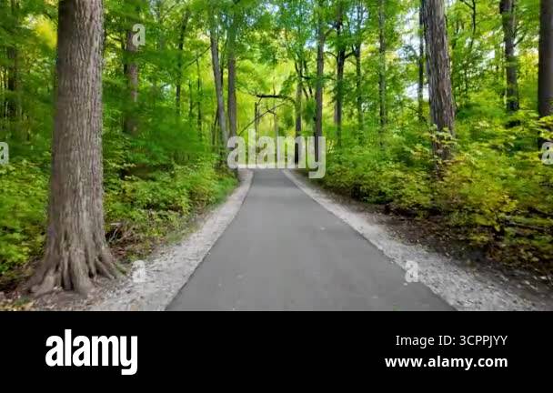 Tall early autumn time trees by the path in Mayberry state park Novi ...