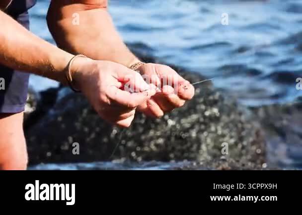 isherman's hands thread bait onto a fish hook. Sea fishing Stock Video ...