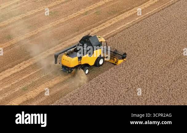 Vehicle harvesting wheat crop in countryside farmland. Harvester ...