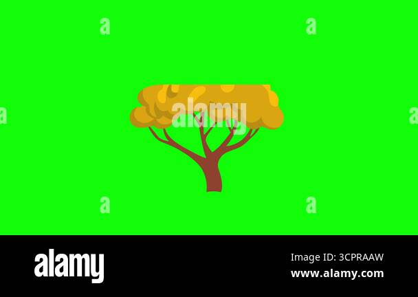 Yellow tree prohibition sign, forbidden tree icon, animated animation ...