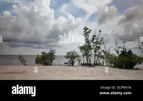 A beach with trees and a cloudy sky. The trees are mostly green, but ...