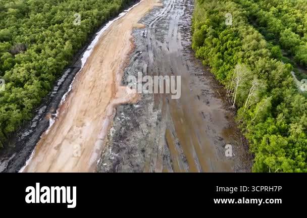 A muddy road with a lot of trees in the background. The road is muddy ...