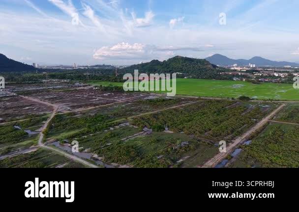 A large field wetland with a few houses in the background. The houses ...