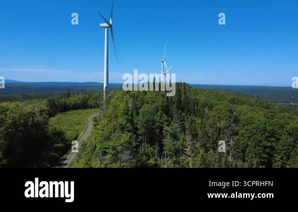 A small forest path leads to three wind turbines generating green ...