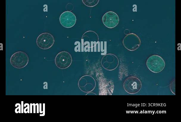 4K aerial footage of fish farms in the Black Sea, Trabzon Arsin Yomra ...