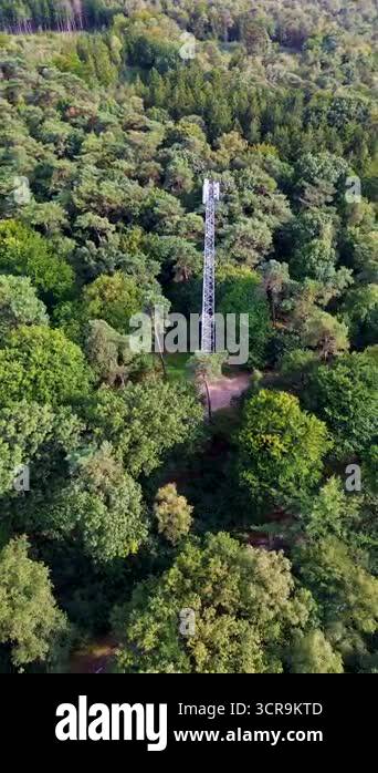 Aerial view of a telecommunications tower in a dense forest, accessed ...