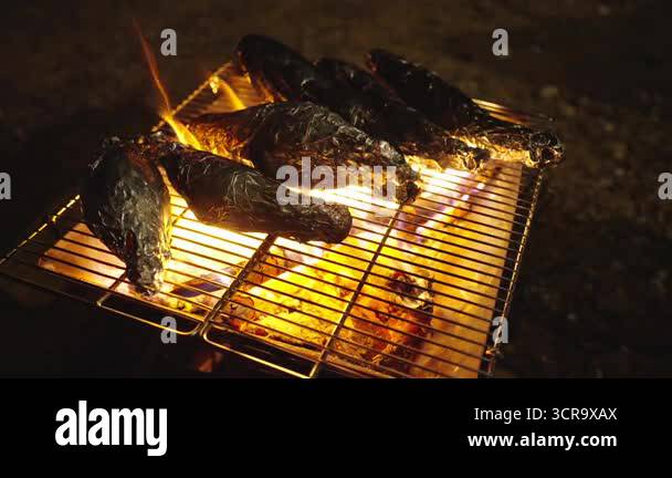 grilled fish in foil on bonfire Stock Video Footage - Alamy