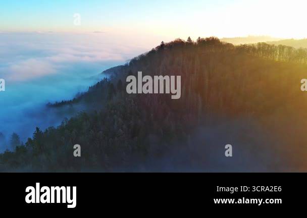 High mountain wild hills covered with dense dark spruce forests and ...