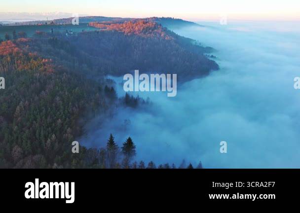 High mountain wild hills covered with dense dark spruce forests and ...