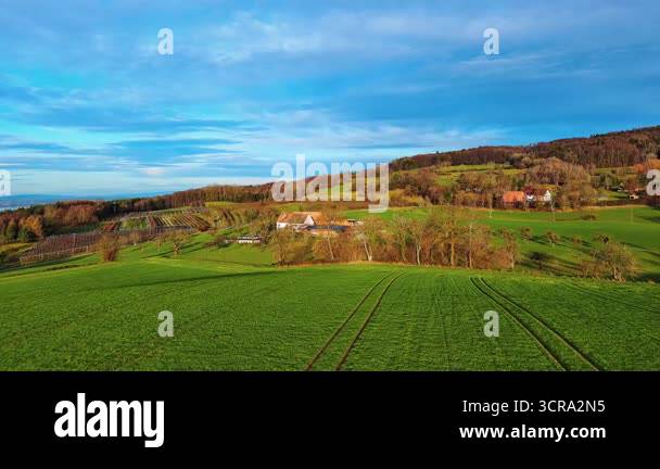 Green agricultural unplanted fields covered with fresh grass on a hilly ...