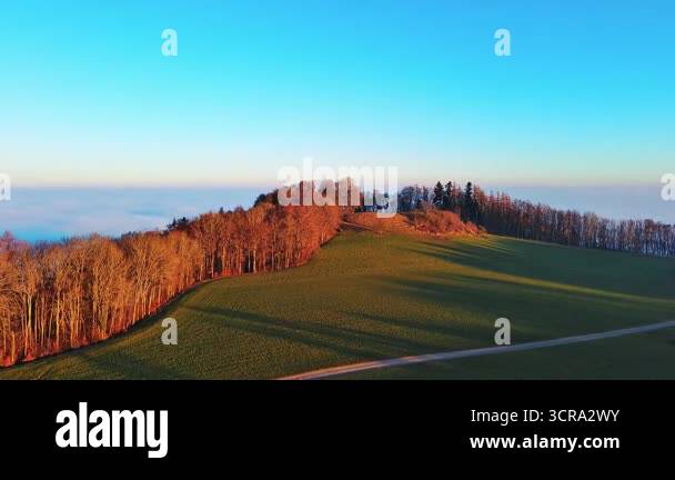 Autumn spruce dark forest on the top of a wild green empty hill with a ...