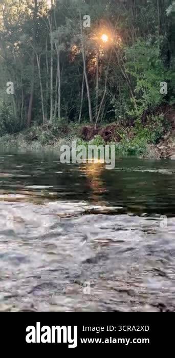 Water flows over stones overgrown in summer majestic forest. Mountain ...