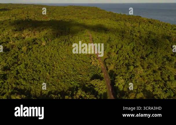 Aerial drone view over man made forest and single track road, Siquijor ...