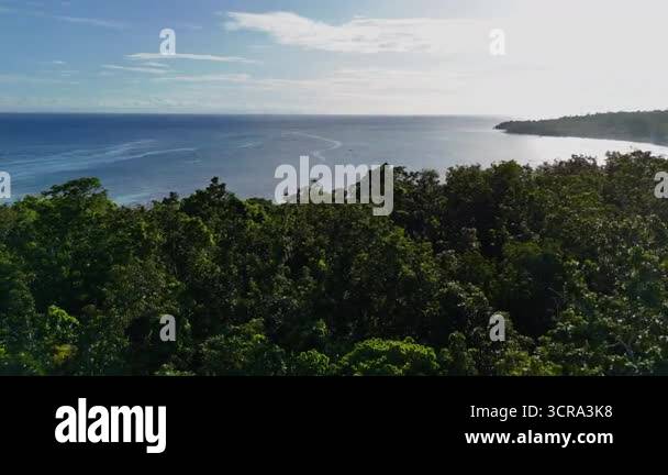 Aerial drone view over man made forest and single track road, Siquijor ...