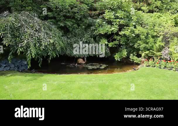 7-5-2025: Victoria, Vancouver Island, British Columbia, Canada: Snail ...
