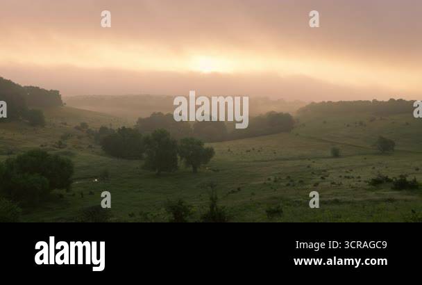 Golden Dawn Over Quiet Countryside Field With Trees At Sunrise ...