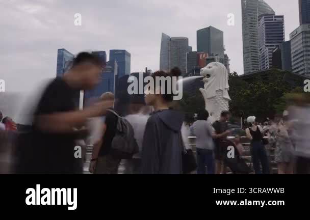 Timelapse Merlion Park with tourist. Time lapse Tourist taking a photo ...