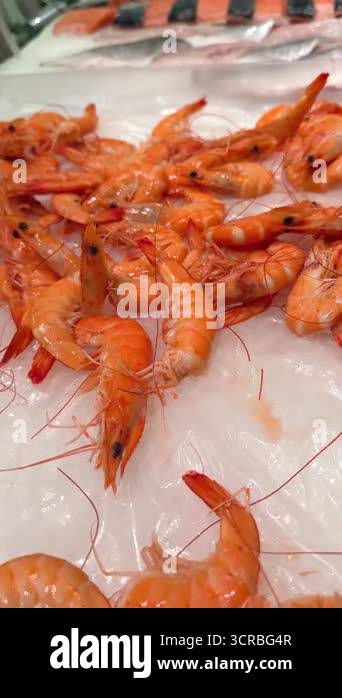 Discover and explore this vibrant collection of seafood featuring a ...