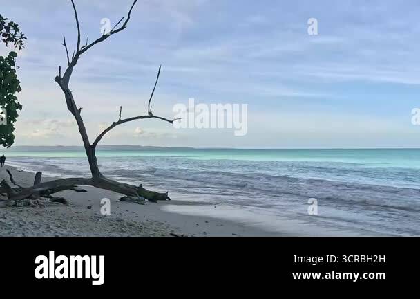 landscape view of Kalapathar beach in Havelock Stock Video Footage - Alamy