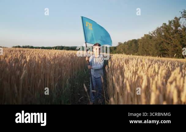Young little boy walking in golden wheat field, holding Crimean Tatar ...