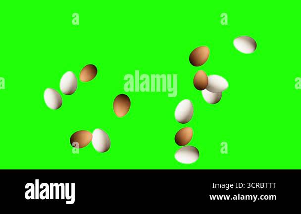 Bouncing up eggs motion graphics with green screen background Stock ...