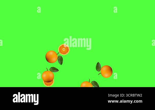Bouncing up Orange fruits motion graphics with green screen background ...