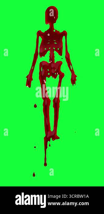 Human skeleton symbol with scary blood drops effect on plain black ...