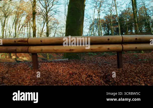 Innovative Mountain Guard Rail Made of Tree Wood Near the Road Stock ...