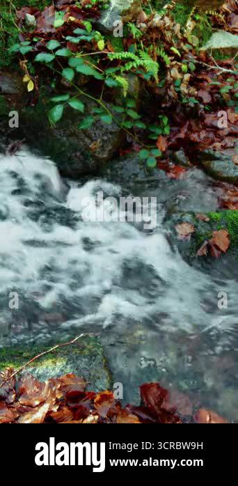 Pure spring water flowing from Stock Videos & Footage - HD and 4K Video ...