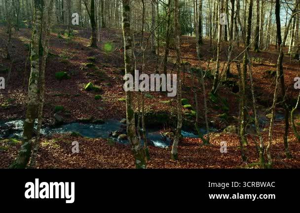 Stream of Fresh Spring Water Flowing Down the Valley Among the Dry ...
