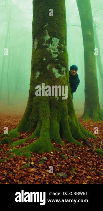 Old Man Hides Behind a Tree in the Mountains to Play in the Foggy ...