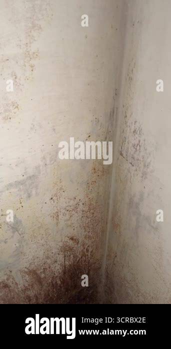 Damp wall damage Stock Videos & Footage - HD and 4K Video Clips - Alamy