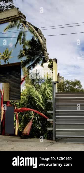 Old factory and industrial complex with paradise palm tree landscapes ...