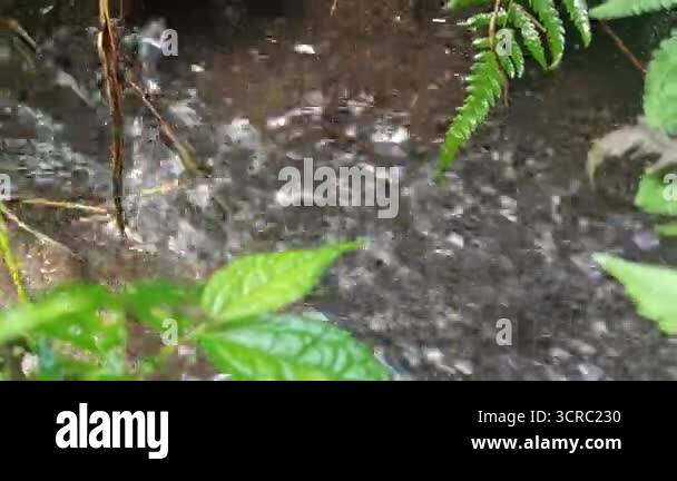 Flowing water stream in agricultural fields, essential for irrigation ...
