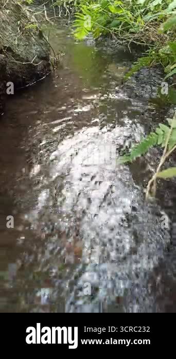 Flowing water stream in agricultural fields, essential for irrigation ...