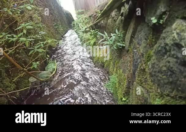 Flowing water stream in agricultural fields, essential for irrigation ...