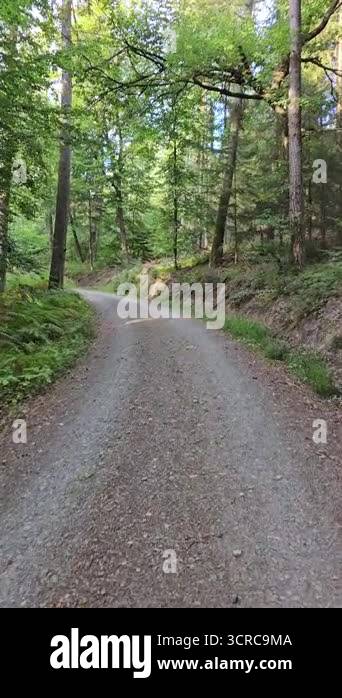 The forest trail in Germany in Hesse near the city of Fulda winds ...
