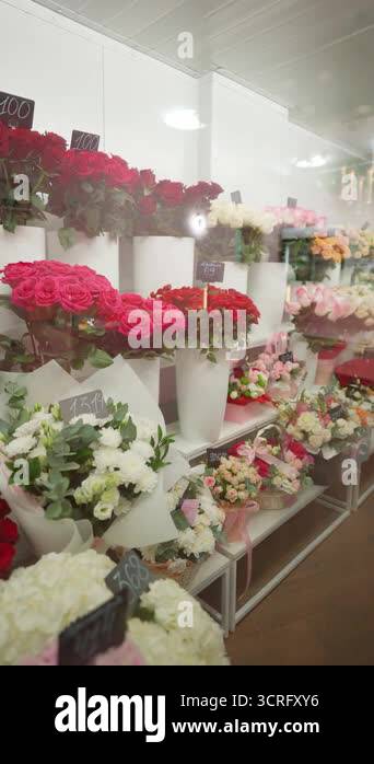 Romantic fresh colorful roses Stock Videos & Footage - HD and 4K Video ...