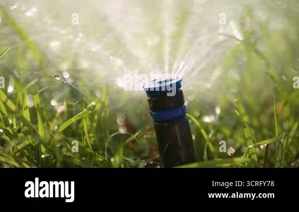 Automatic irrigation system with water sprinkler for maintaining grass ...