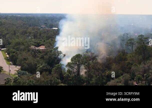Wildfire burns in forested area near residential homes in Florida town ...