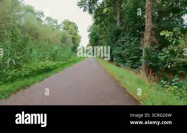 Moving on narrow asphalt road along green forest and river. Riding on ...