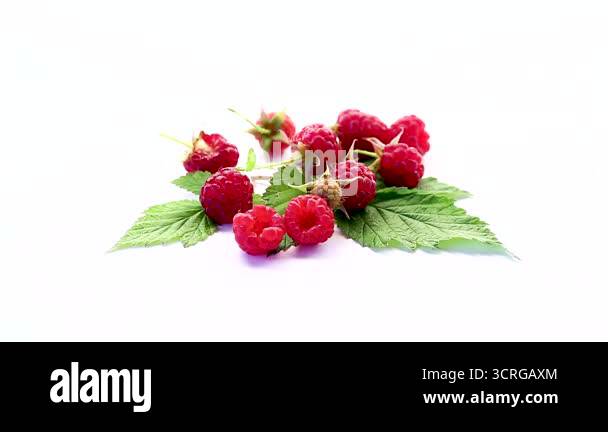 Summer raspberries with leaves for healthy eating Stock Video Footage ...