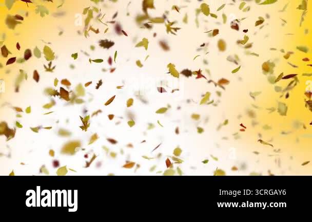 Realistic 3D animation of falling autumn leaves. Various leaf types ...