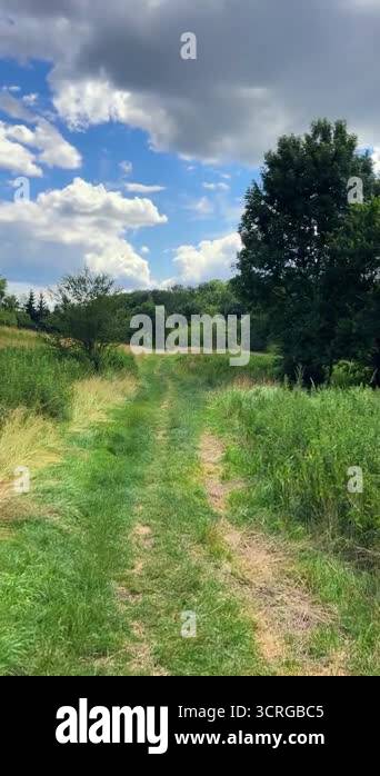 A field road in the countryside through a meadow against the background ...