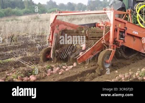 Potato Harvester Front View Pulling Crops From Soil. High quality 4k ...
