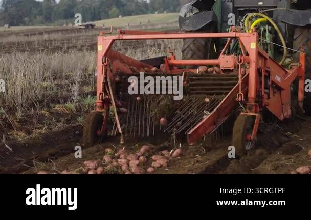 Potato Harvester Front View Pulling Crops From Soil. High quality 4k ...
