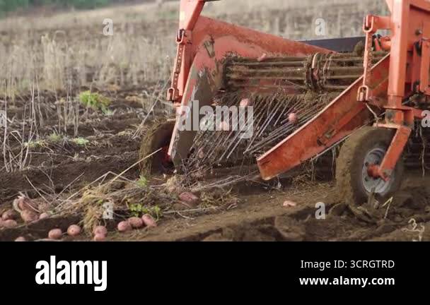 Potato Harvester Front View Pulling Crops From Soil. High quality 4k ...
