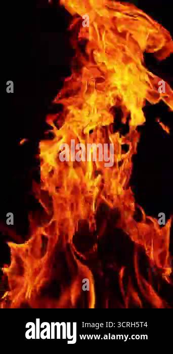 Big campfire burning at night. Isolated bonfire at black backdrop. Long ...