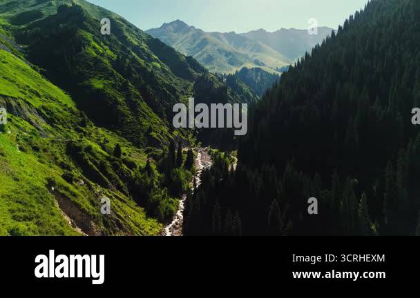 Beautiful aerial drone scenery of the river in the mountains and green ...